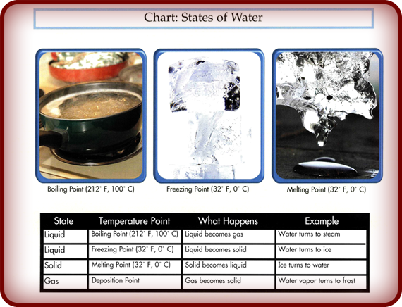 Heat and Temperature with Graphic Organizers - PowerKnowledge Physical ...
